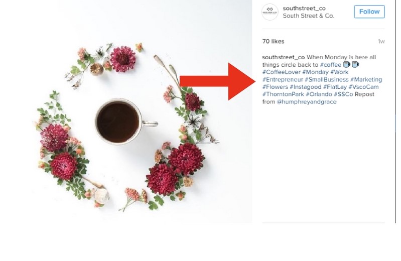 5 Ways To Gain Interaction On Instagram - South Street & Co.